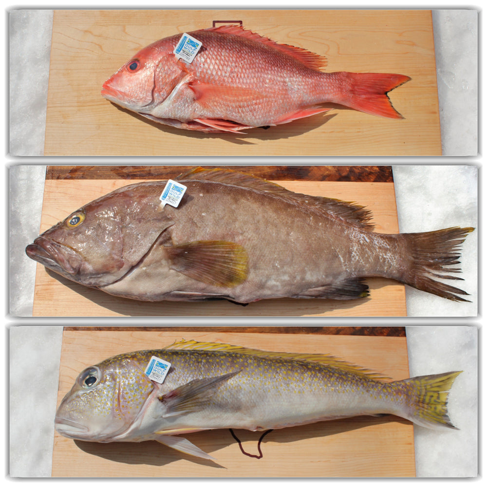 Collections - Katies Seafood Market