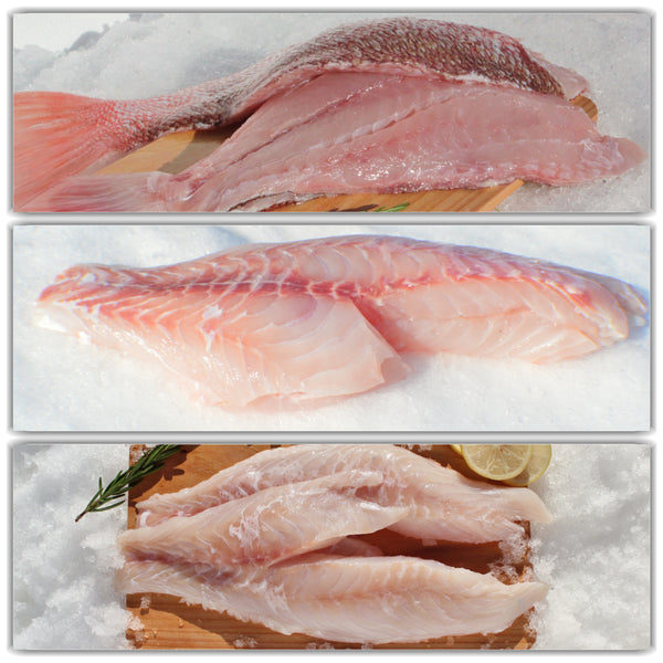 Katies Seafood Market