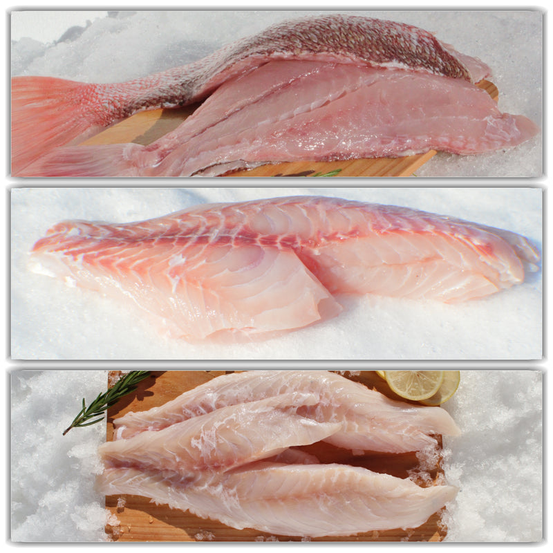 Katies Seafood Market