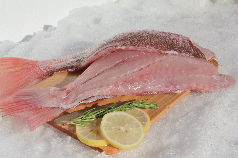 Grouper (Fillets) - Katies Seafood Market