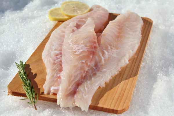 Grouper (Fillets) - Katies Seafood Market